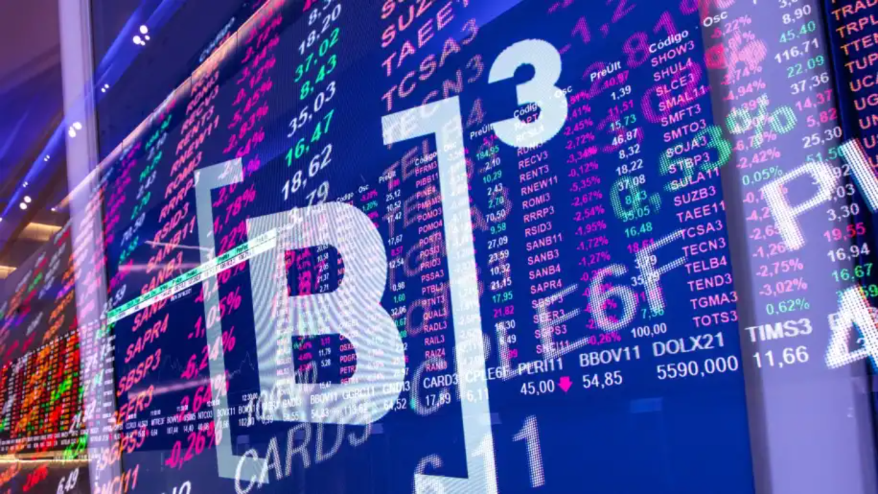 Ibovespa: Qual é a definição e o funcionamento do índice? Um Guia detalhado